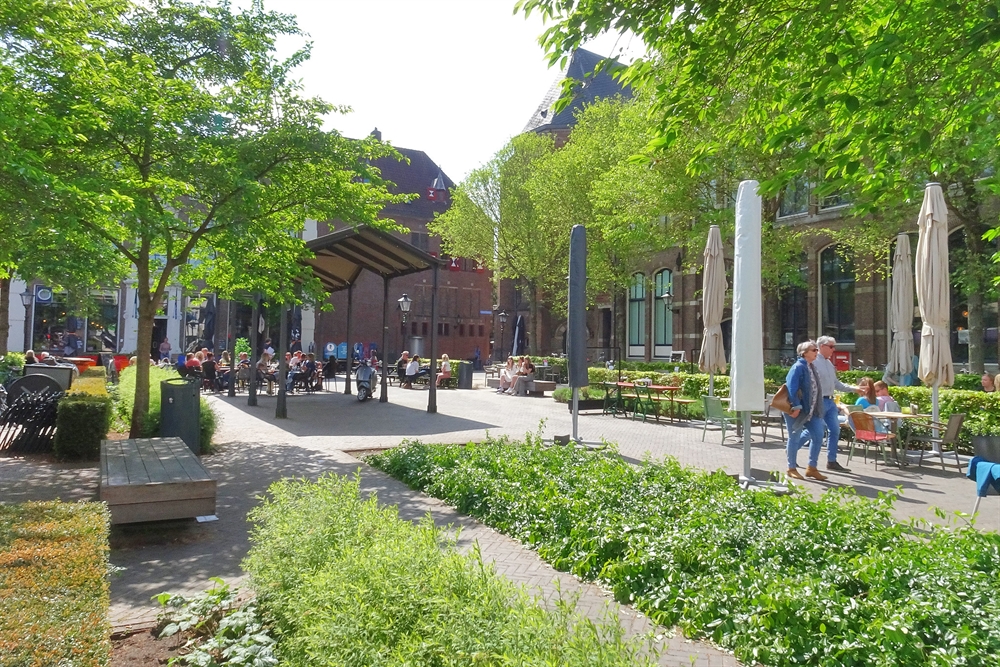 Groen in de stad | Kennisportaal Klimaatadaptatie