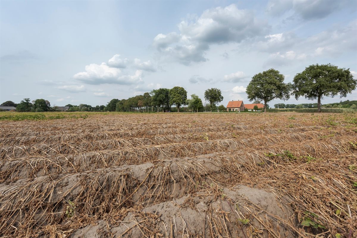 Droogteketen biedt inzicht in effecten en oorzaken van droogte ...