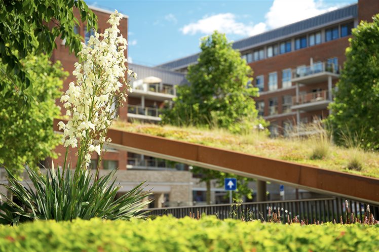 NKWK Klimaatbestendige Stad voert dit jaar 6 onderzoeken uit ...