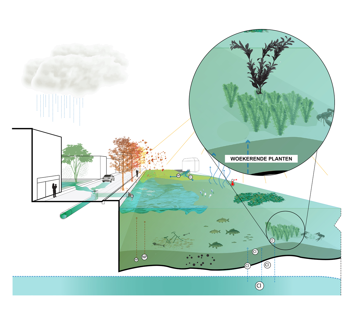 Biological effects: How is climate change affecting aquatic life ...