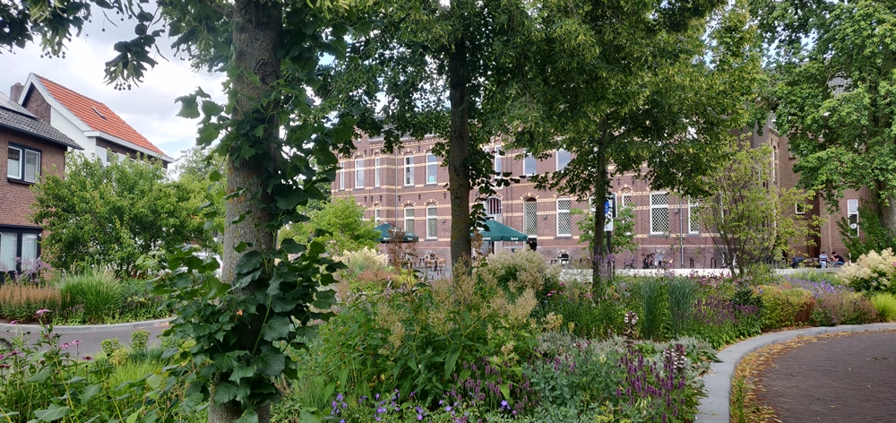 Collaboration in construction team leads to innovative climate square ...