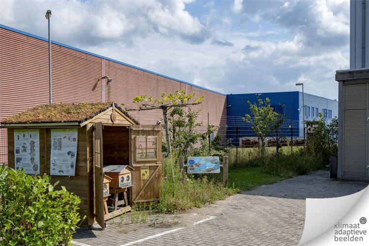 Biodiverse boomgaard TOMRA - Kennisportaal Klimaatadaptatie